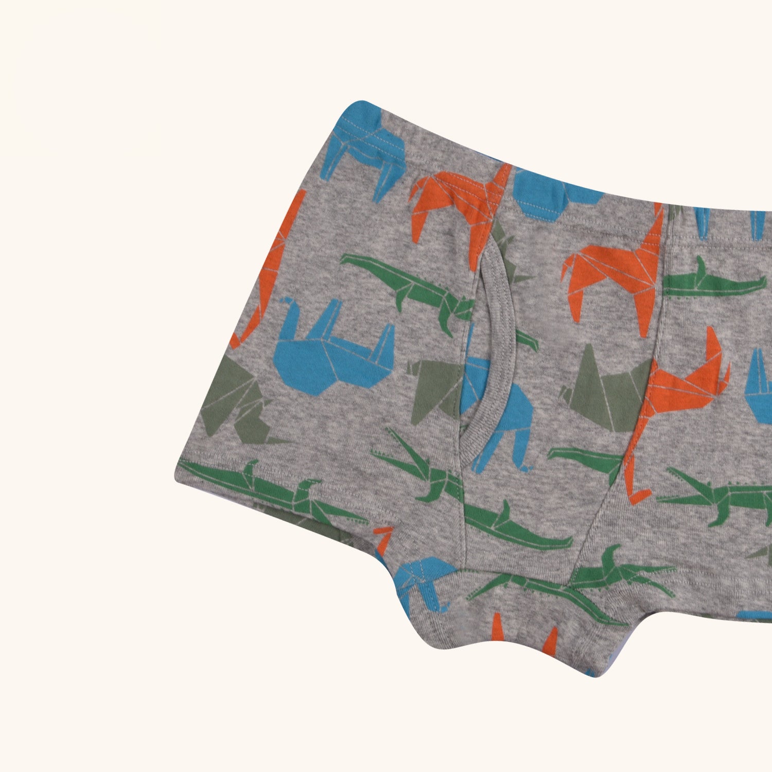 BRIO Boxer Briefs for Boys – Meet My Feet Kids